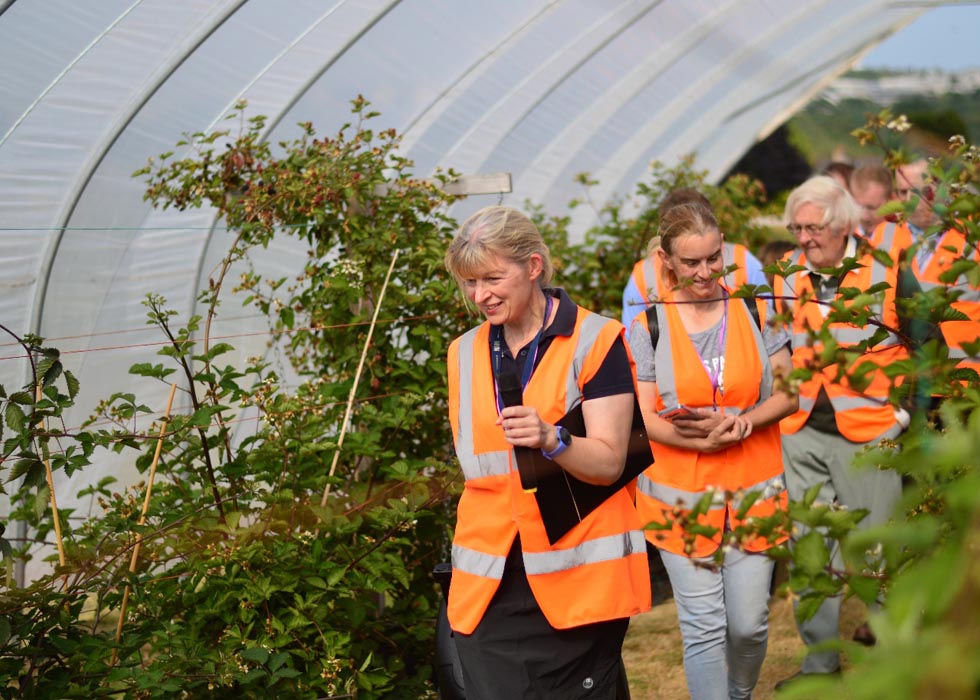 Fruit for the Future returns with cutting-edge innovation in soft fruit ...